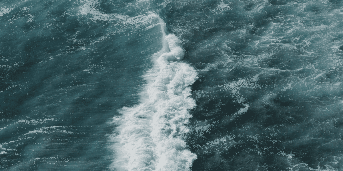 Sean Bailey (Designer and Developer) | seanbailey.dev